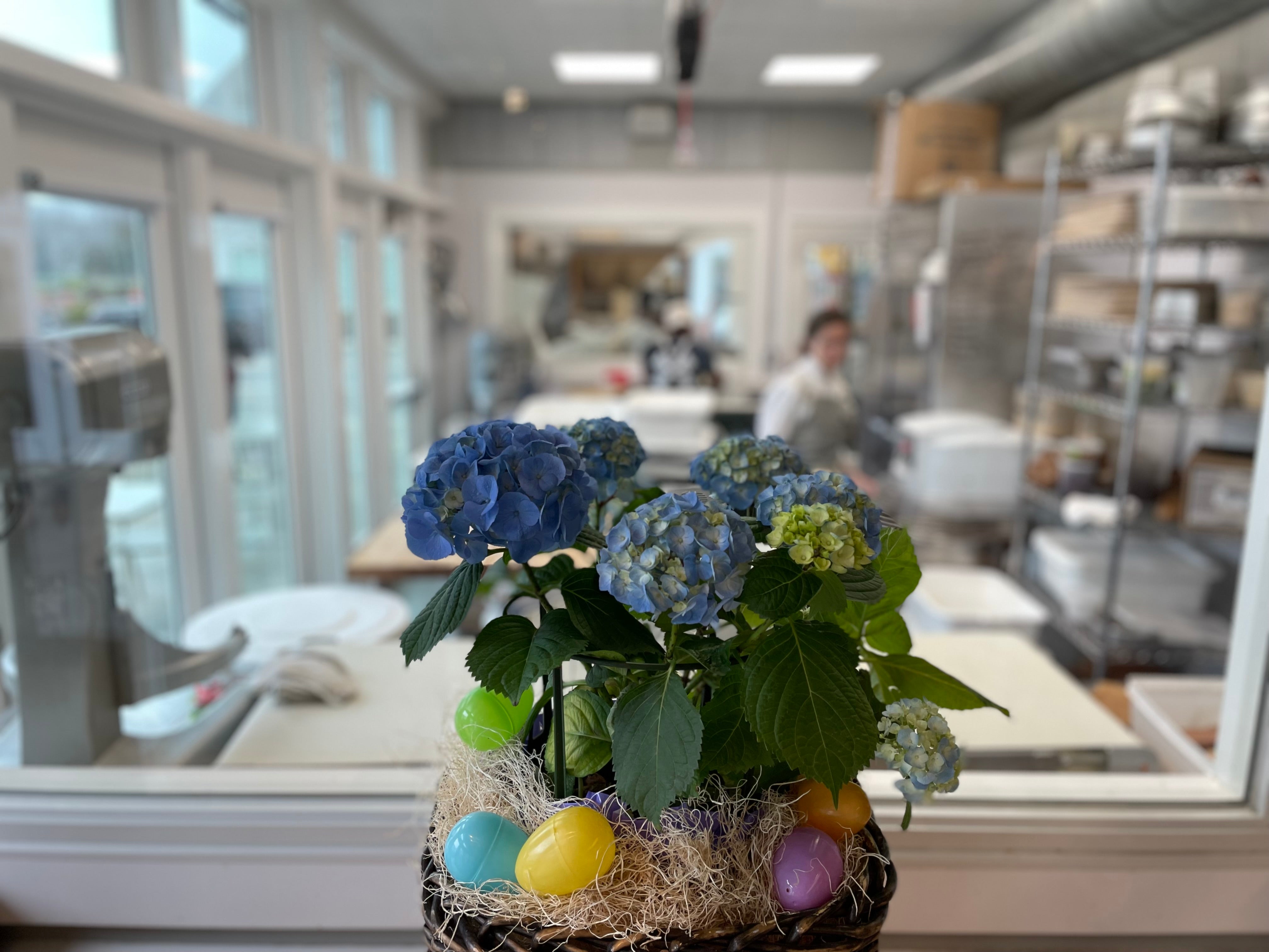 Easter – Kneads • Bakery • Café • Mill
